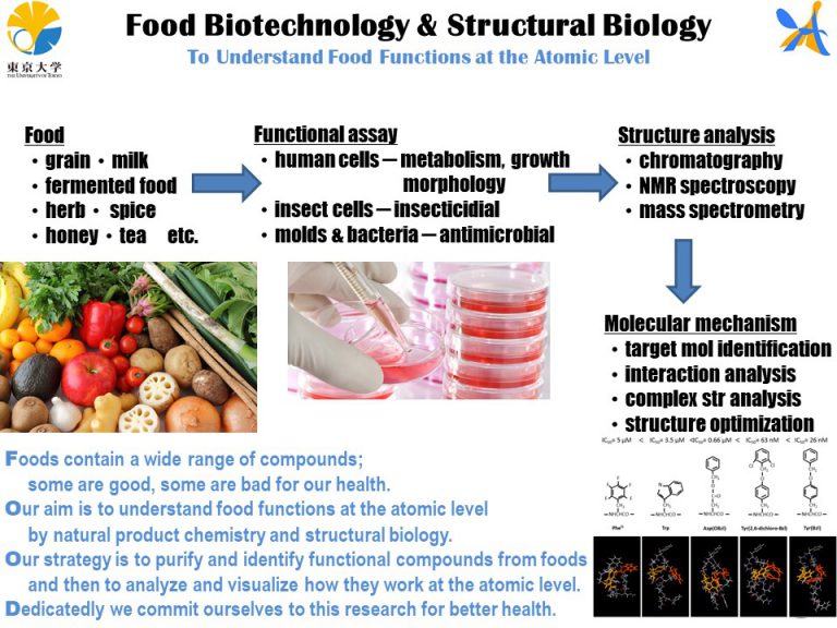 食品生物構造学研究室 Food Biotechnol & Struct Biol Lab | 東京大学 大学院農学生命科学研究科 応用生命化学 ...