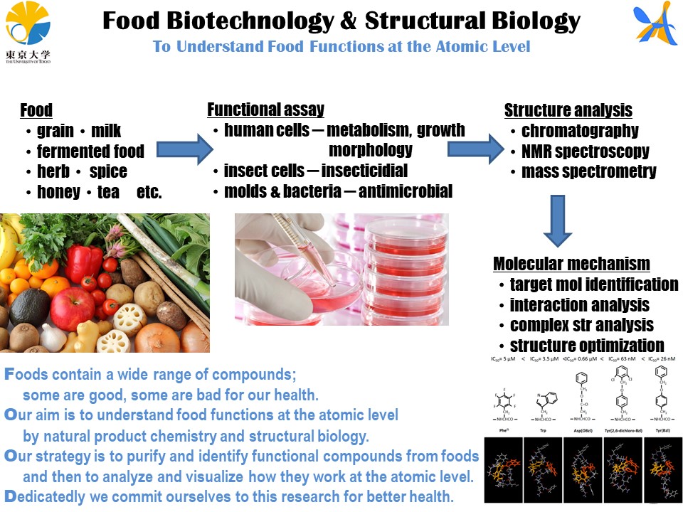 食品生物構造学研究室 Food Biotechnol & Struct Biol Lab | 東京大学 大学院農学生命科学研究科 応用生命化学 ...